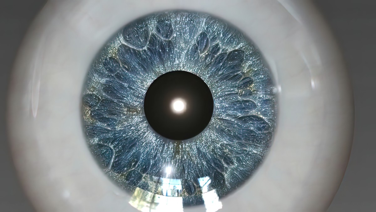 Hydrogel implants can deliver drugs to damaged retina