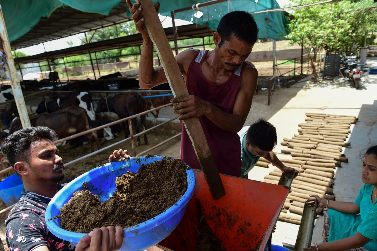 Recycling crop and animal waste is a win for green farming