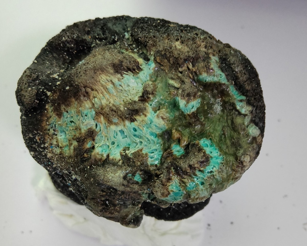 First plastiglomerate reported from the Indian subcontinent