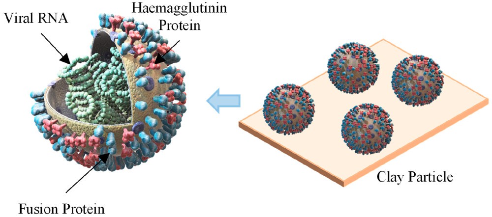 Clay materials can be used to dispose of virus-contaminated waste safely
