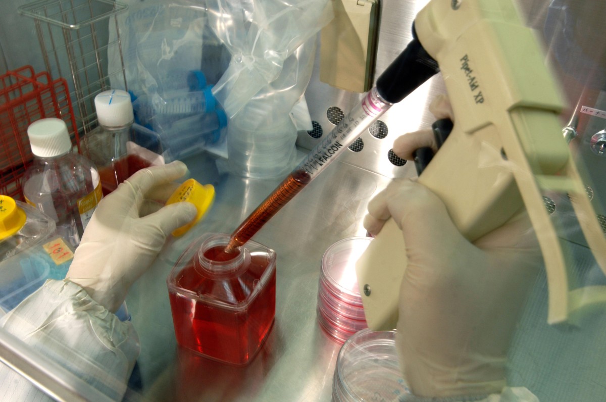 Newly engineered proteins could offer safer and more effective gene ...