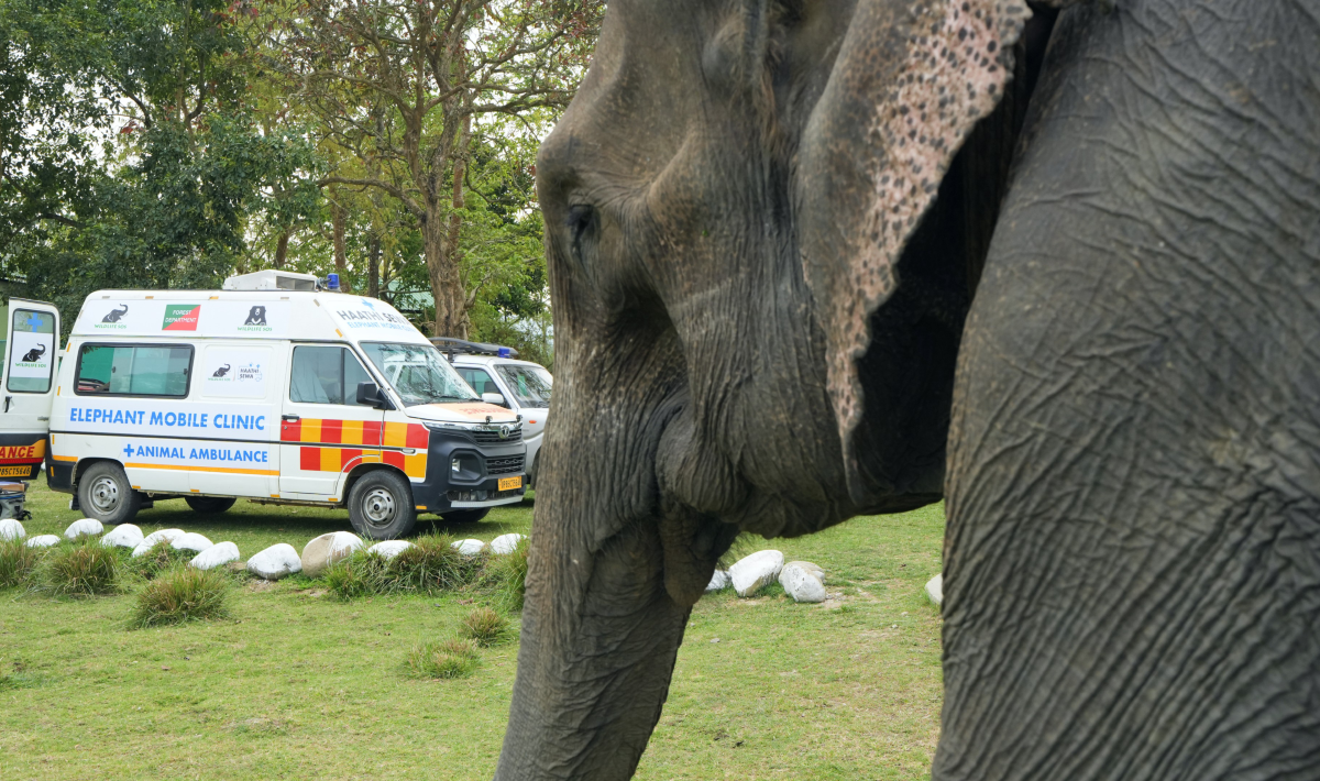 Lifeline on wheels for elephants