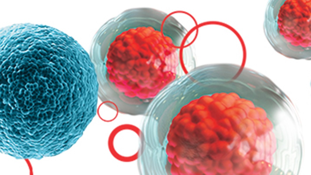 Live single-cell metabolomics by mass spectrometry: challenges and ...