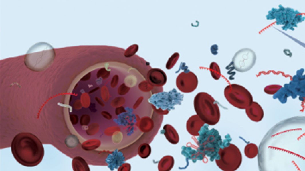 Harnessing whole-blood miRNAs and small RNAs for cancer diagnostics