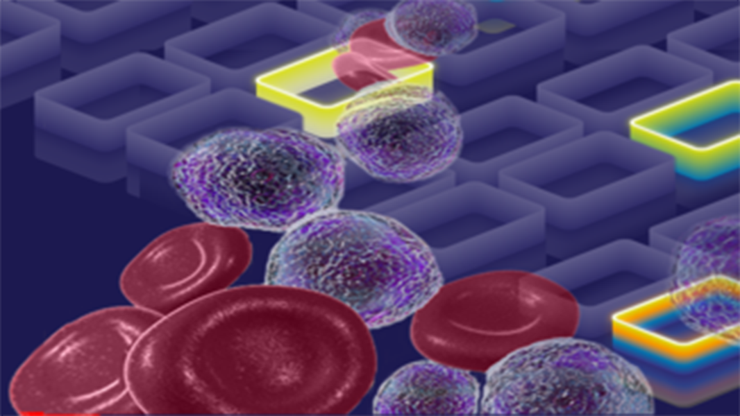 Liquid biopsy applications in lung cancer and beyond