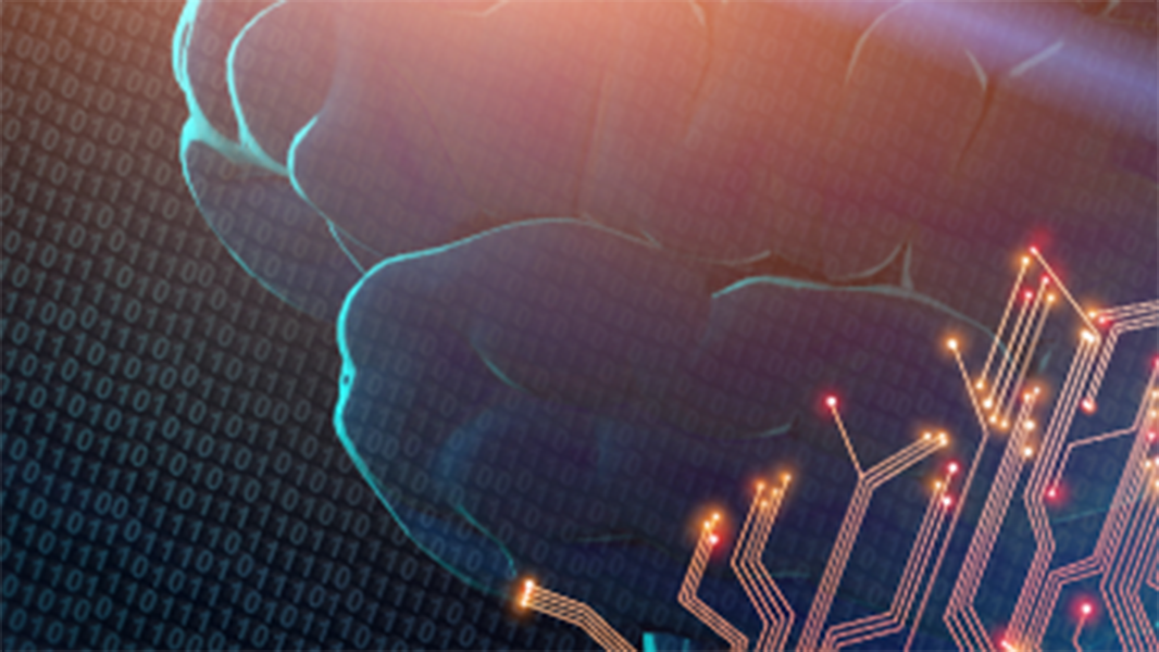 Making small data big: Building a graph database from experimental brain research