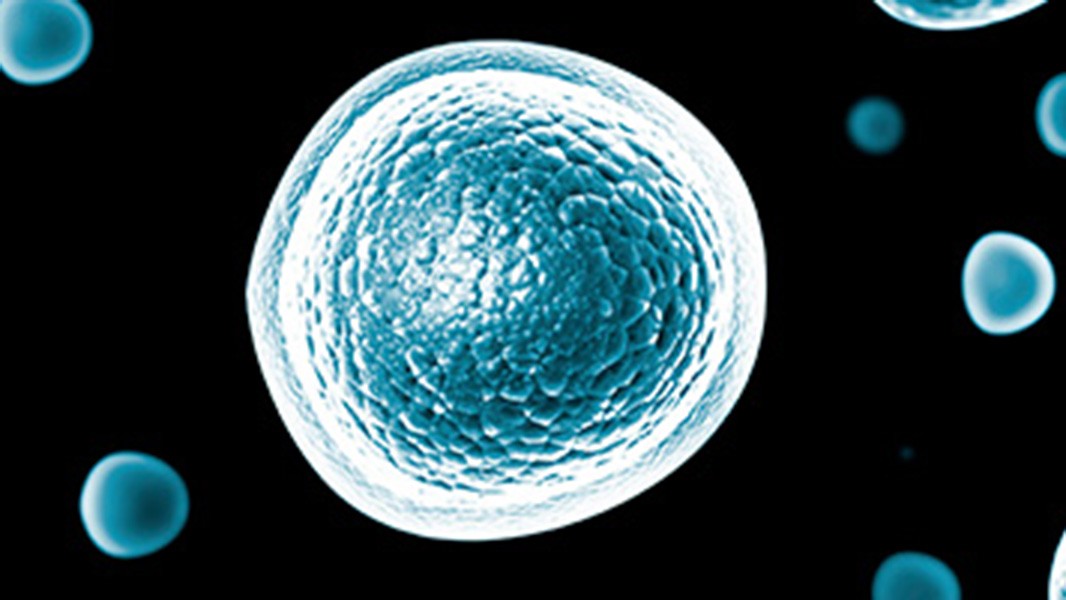 Small particle analysis using high sensitivity flow cytometry