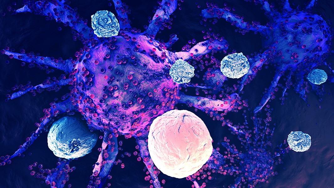 Single-cell dissection of tumor immune microenvironment for effective ...