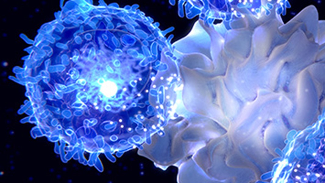 VHH as building blocks for immune and tumour cell-targeting