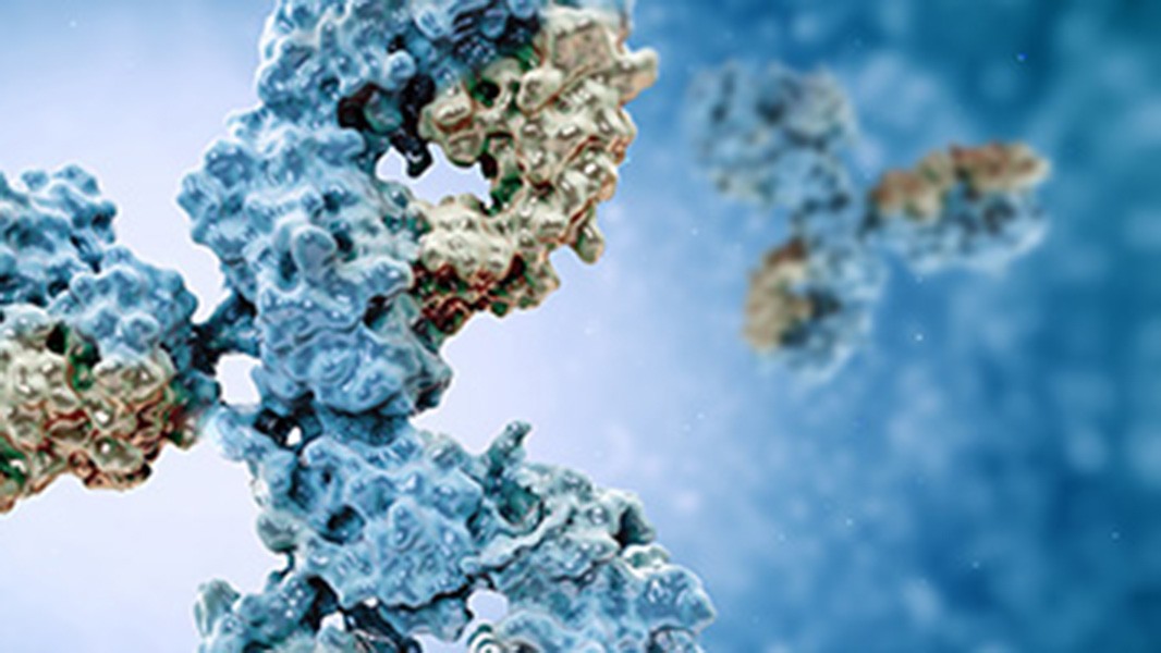 Improving antibody drug candidate success through developability ...