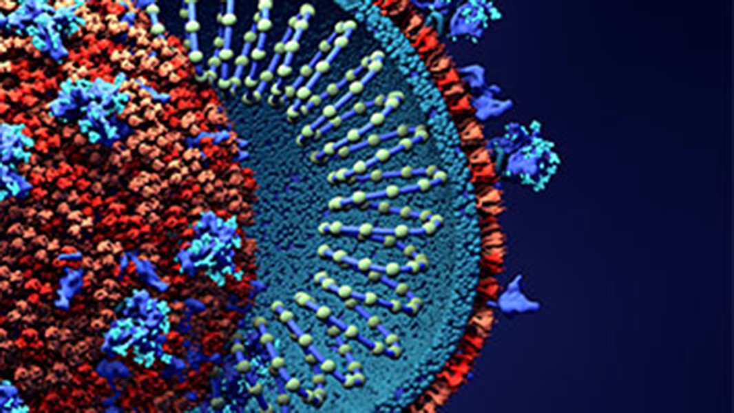 When viral RNA met the host cell: The importance of cellular RNA ...