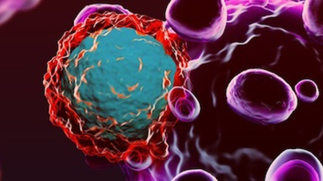 Immunology out of its comfort zone: single-cell insights with spectral ...