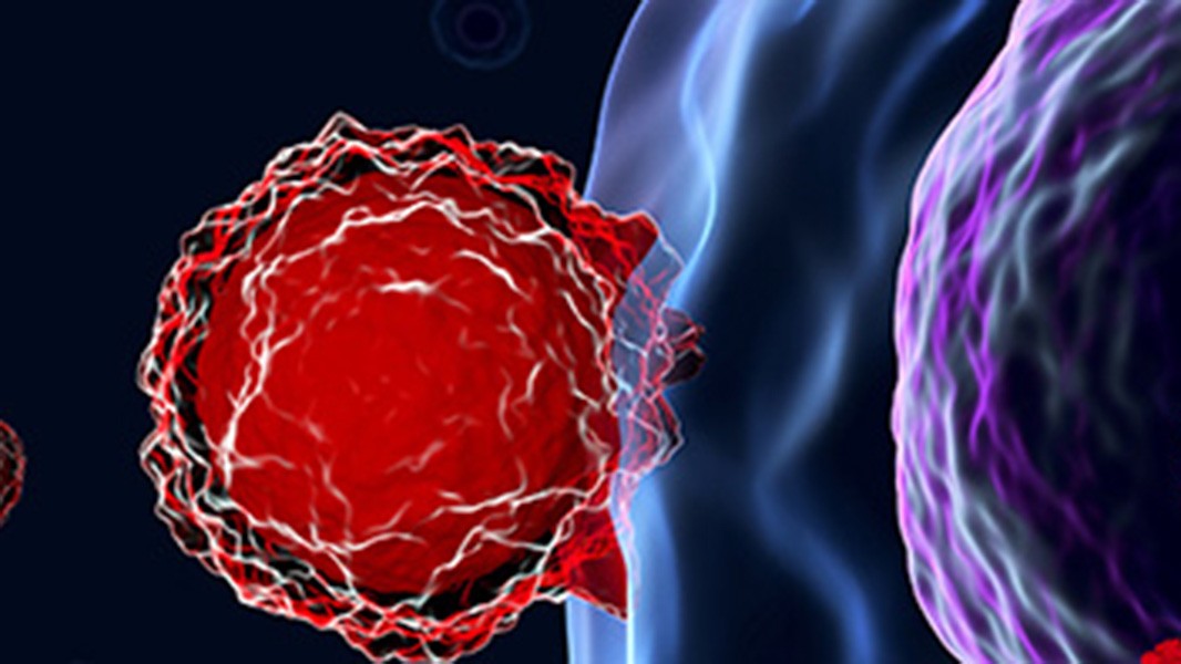 CRISPR screens decode human T cell function