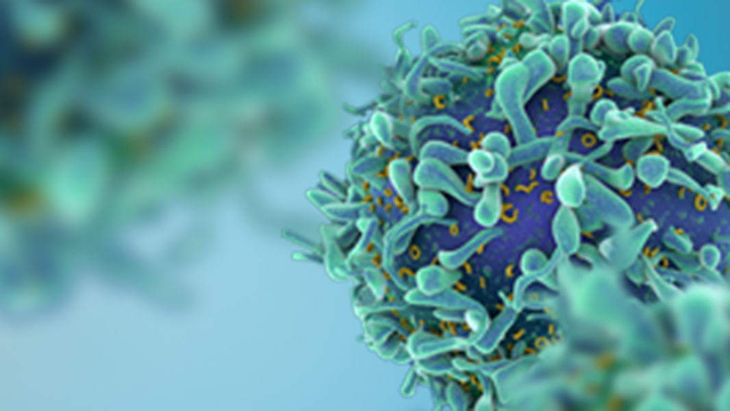 Advanced preservation reagents to power immuno-oncology and multiomics ...