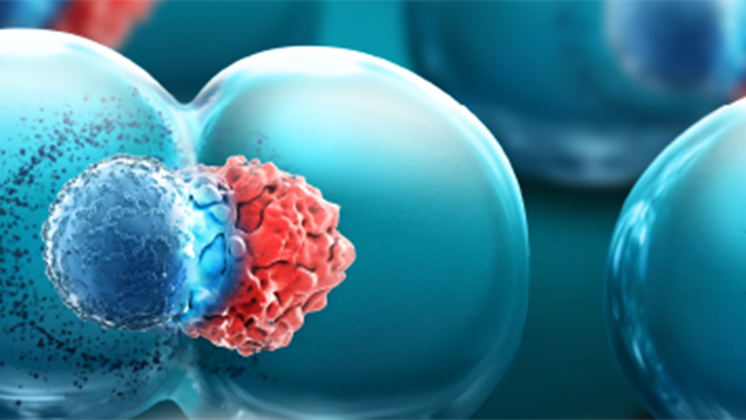 Enabling precise interrogation of single-cell interactions and ...