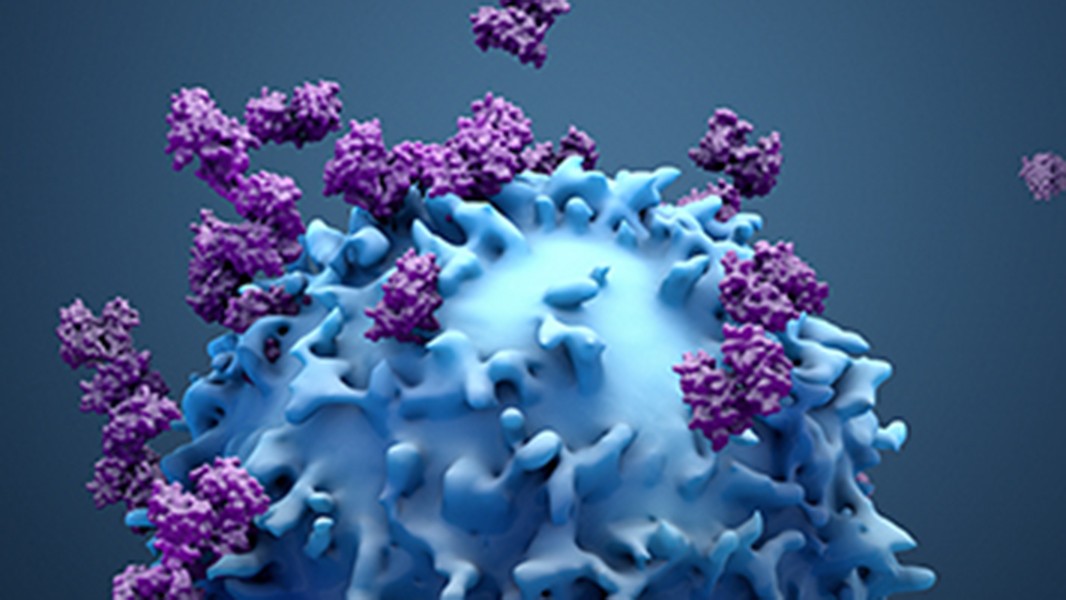 Checkpoint blockade, escape and beyond in cancer immune modulation