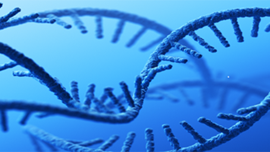 Method development for characterization of mRNA vaccines and ...