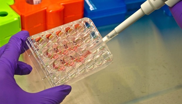 Armed with CRISPR scissors, Indian scientists look at curing the incurable