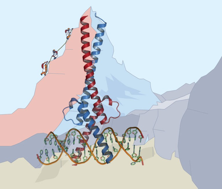 Climbing cancer’s MYC mountain