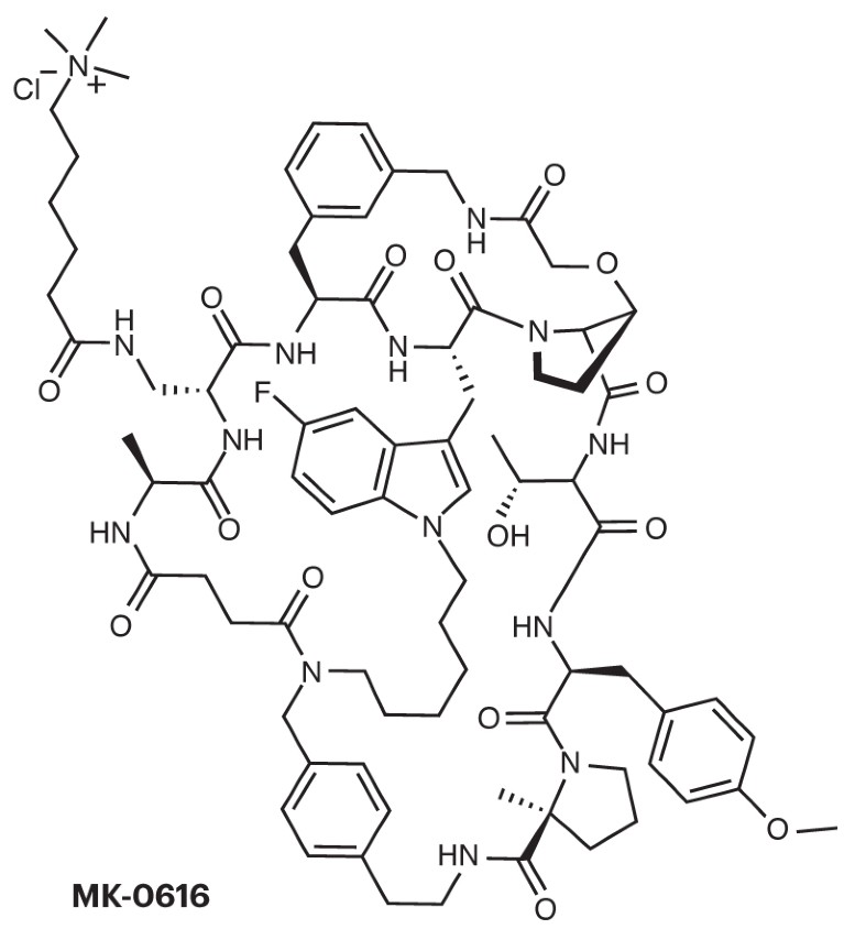 Macrocycle drugs serve up new opportunities