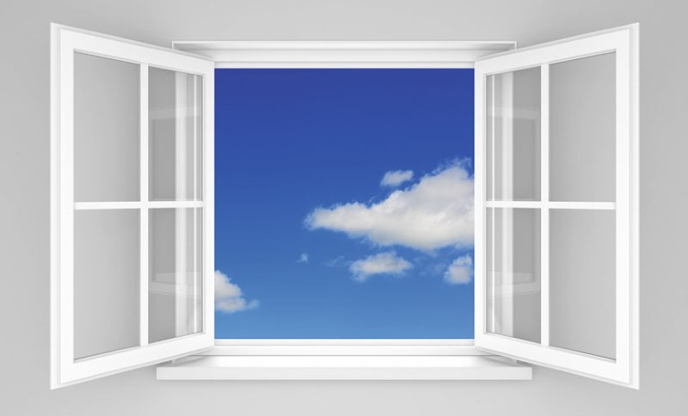 A neonatal window for in vivo gene therapy in haematopoietic stem cells