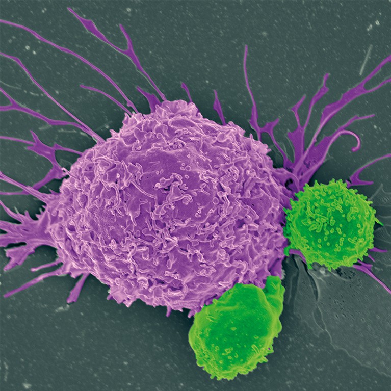 Attack of the killer clones