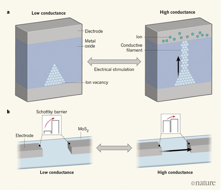 Neurons mimicked by electronics