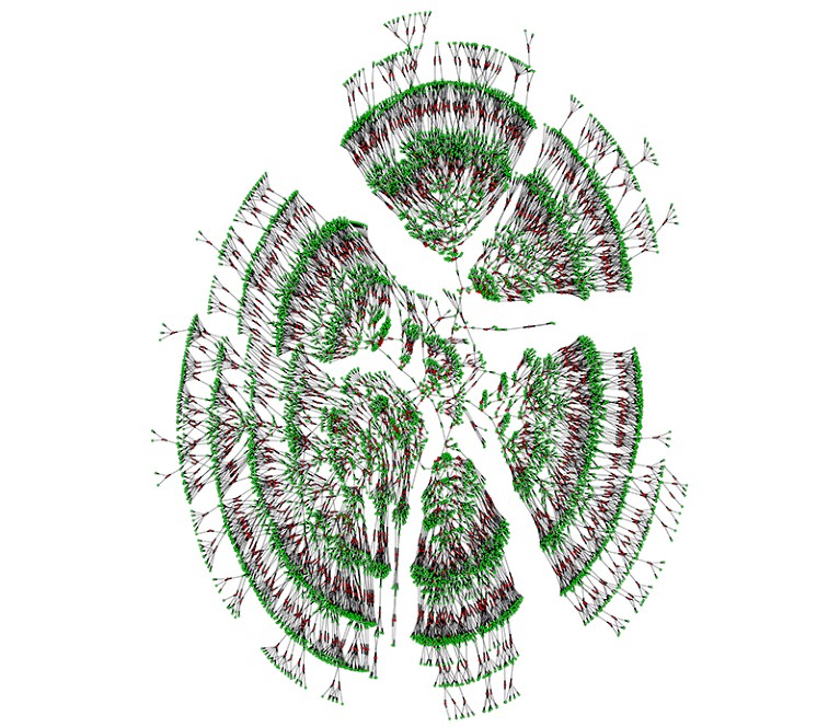 Colossal family tree reveals environment’s influence on lifespan