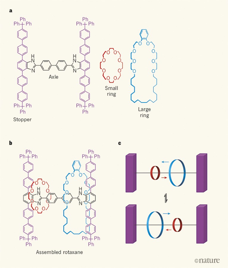 Molecular machines swap rings