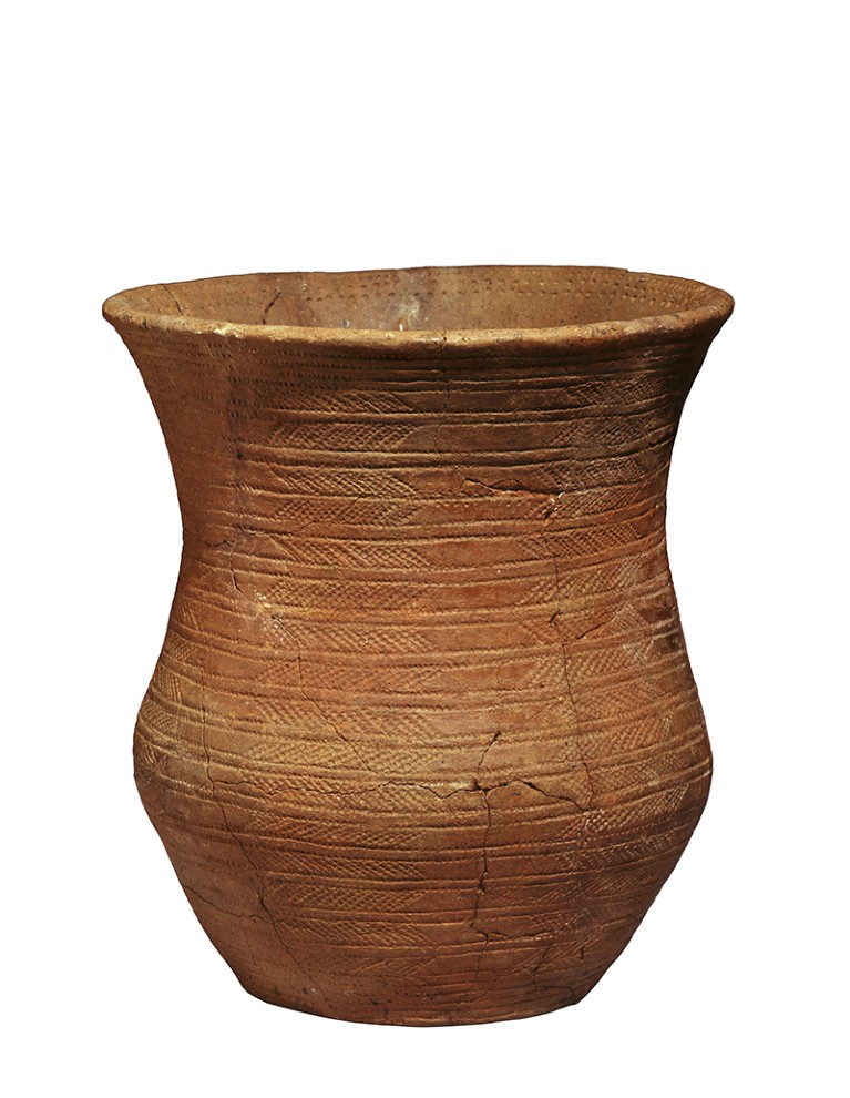 Divided by DNA: The uneasy relationship between archaeology and ancient ...