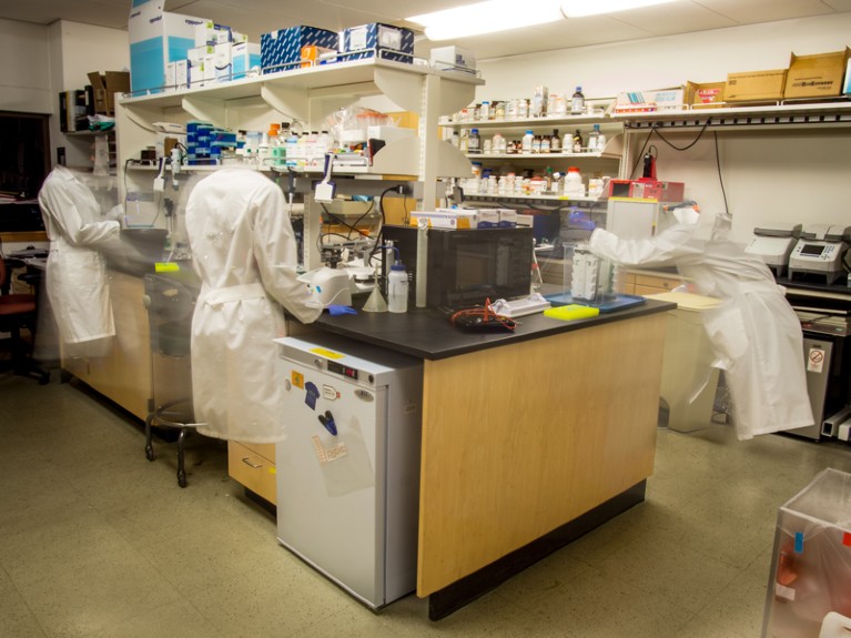 A photo celebration of scientists at work