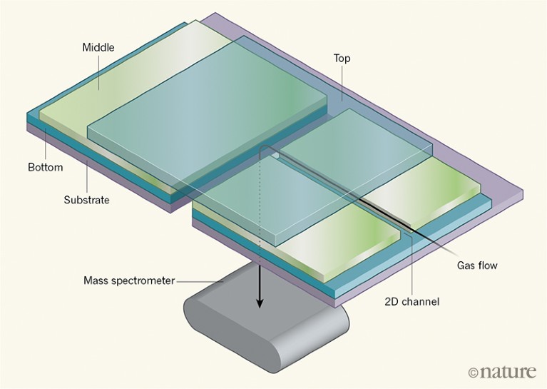 Frictionless gas flow observed in perfectly flat-walled nanochannels