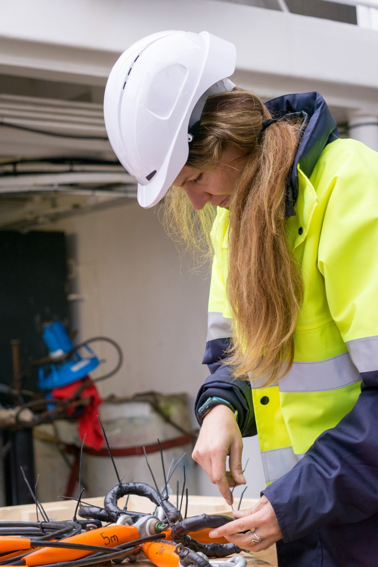 Why New Zealand is an attractive destination for scientists