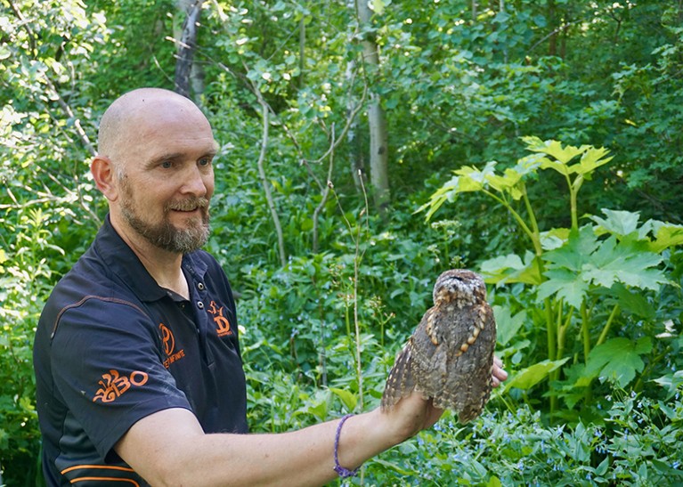 Why working as a travel guide or cruise lecturer can be an effective ...