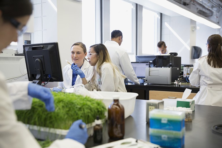 Undergraduate students can be a boon to your lab