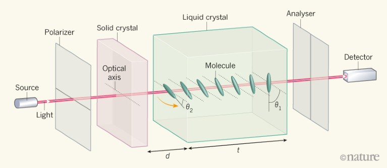 Elusive torque sensed by liquid crystals