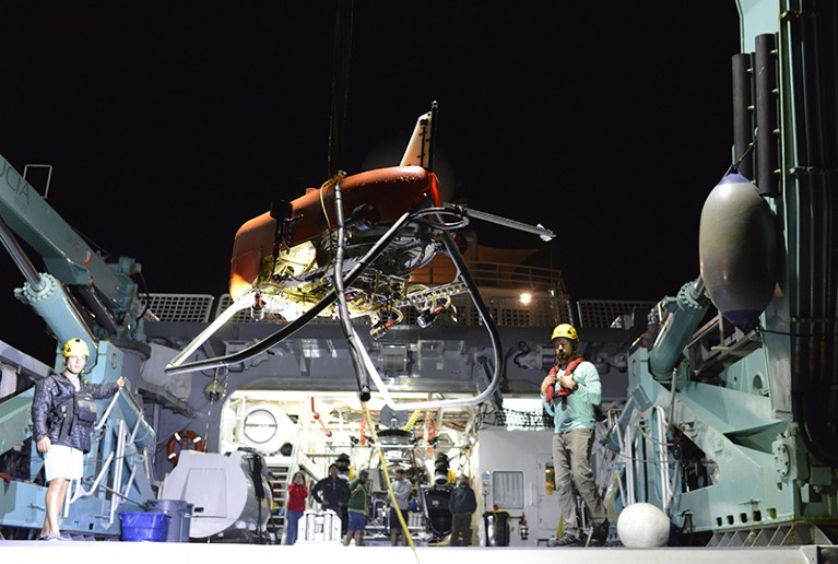 Panthers, propellers and catfish — February’s best science images