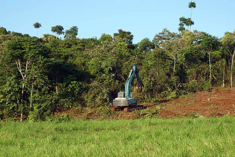 Australian scientists call for tougher restrictions on land clearing