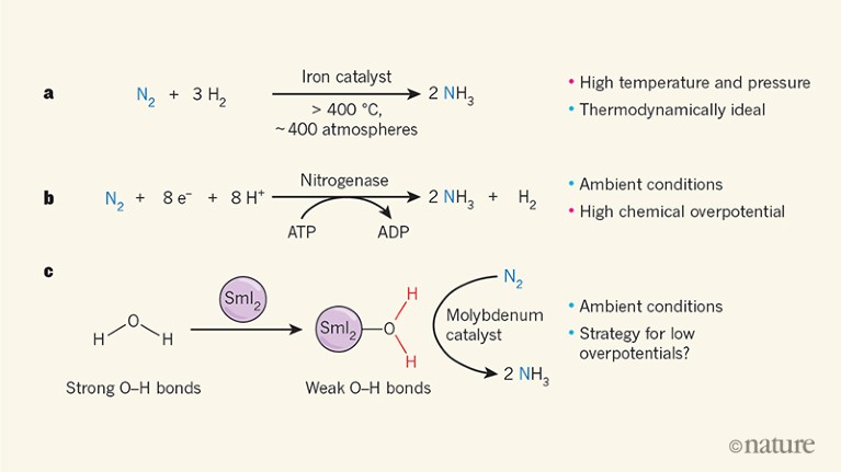 How To Make Ammonia - Infoupdate.org