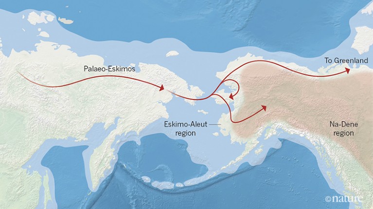 The lineages of the first humans to reach northeastern Siberia and the ...