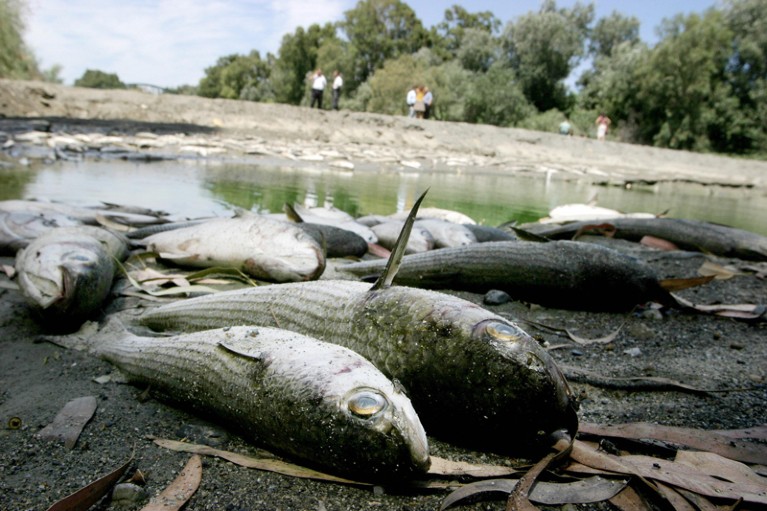 Prepare river ecosystems for an uncertain future
