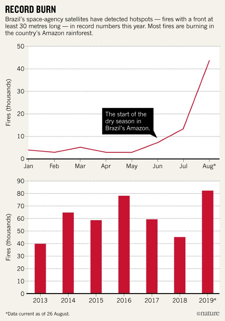 Alarming surge in Amazon fires prompts global outcry
