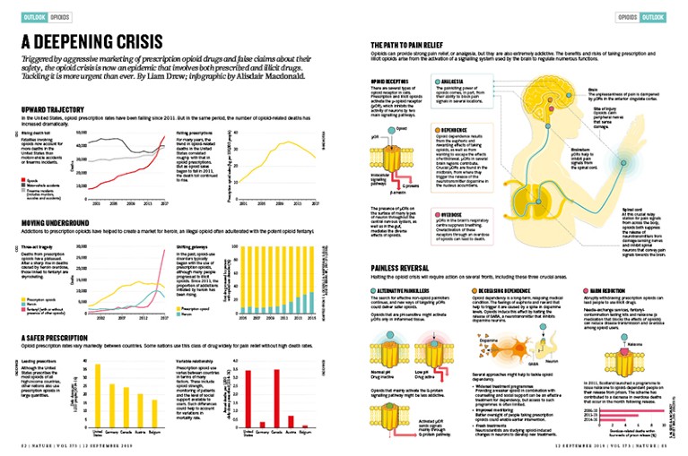 Opioids by the numbers