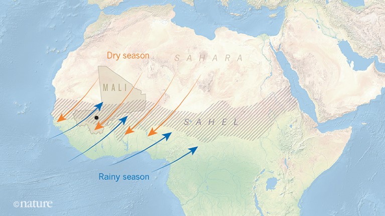 Malaria mosquitoes go with the flow
