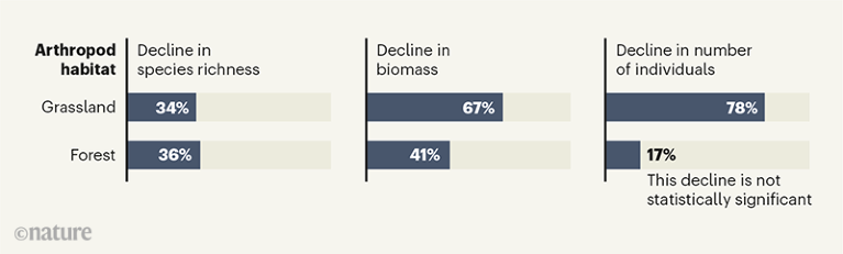 Robust evidence of declines in insect abundance and biodiversity