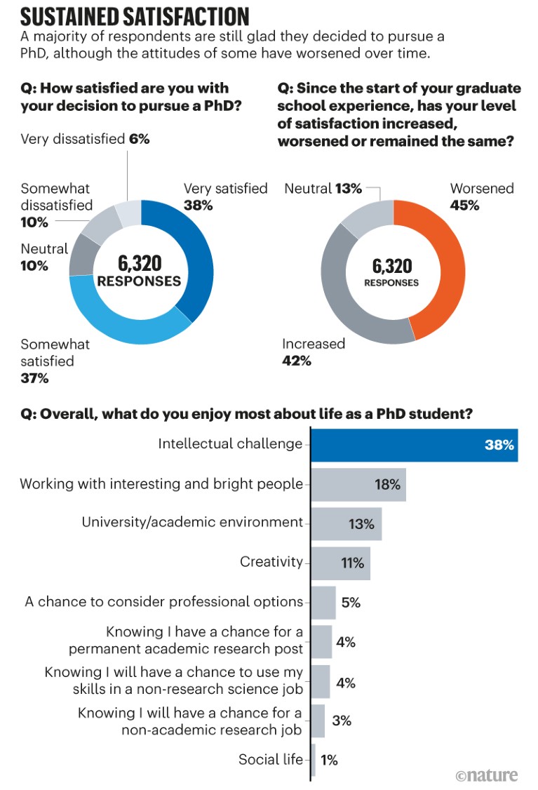 PhDs: the tortuous truth