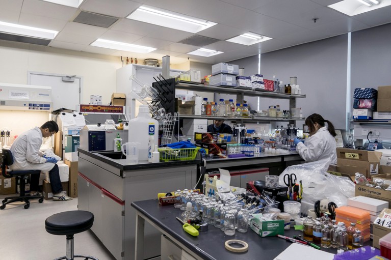 The PhD student’s dilemma