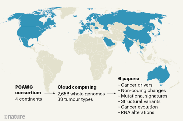 Global genomics project unravels cancer’s complexity at unprecedented scale