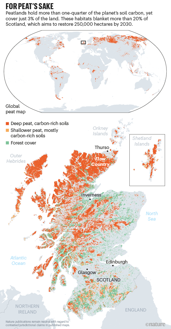 How peat could protect the planet