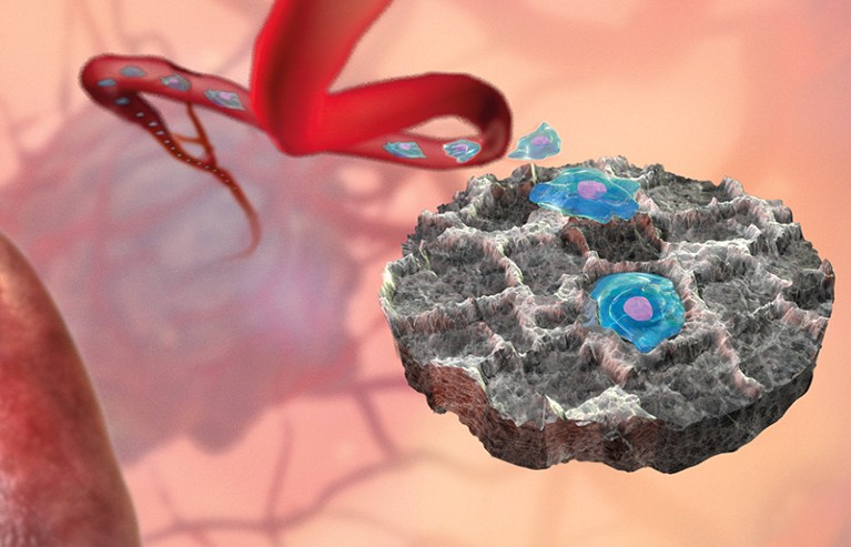 Research round-up: Cancer diagnosis